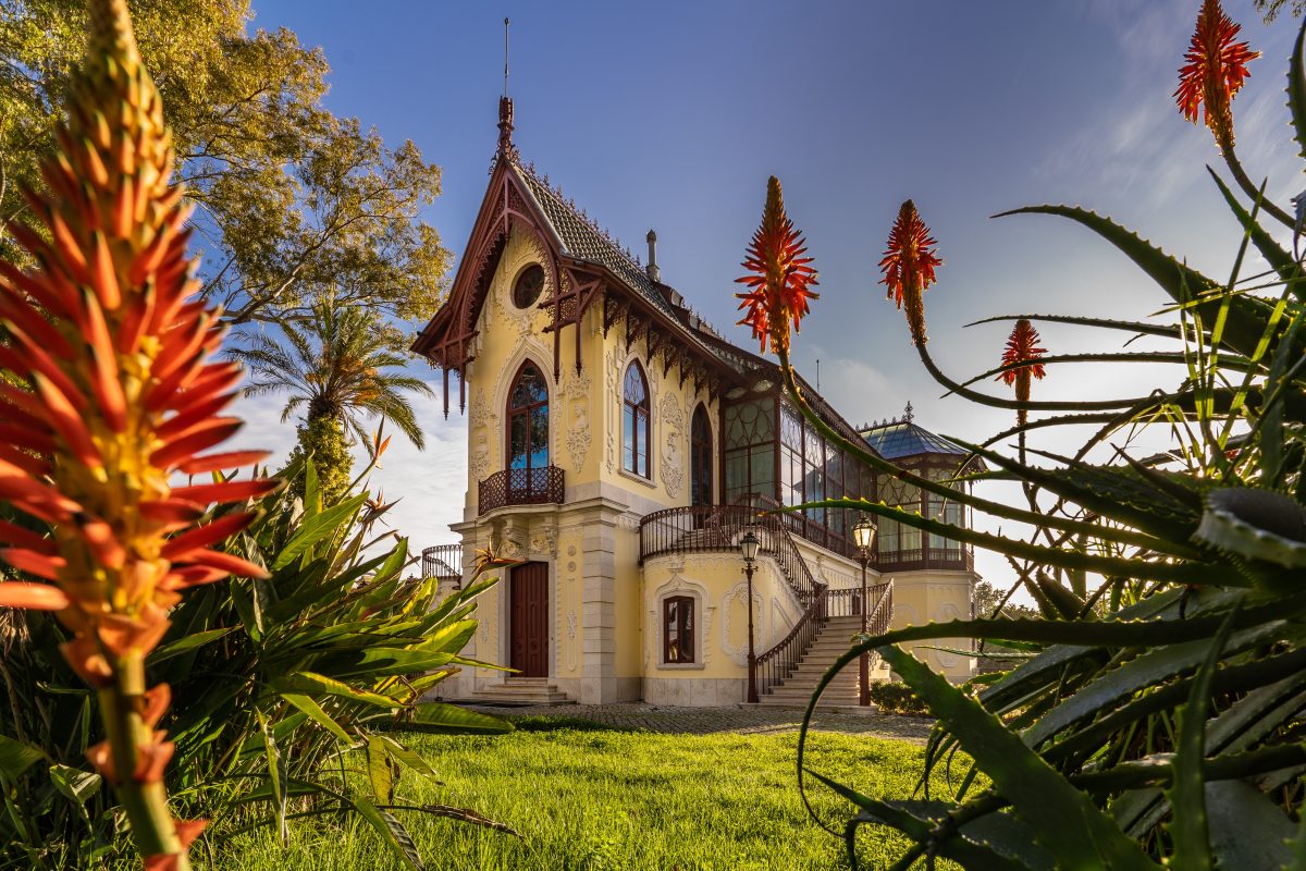 Olé, Golegã - Visit Golegã